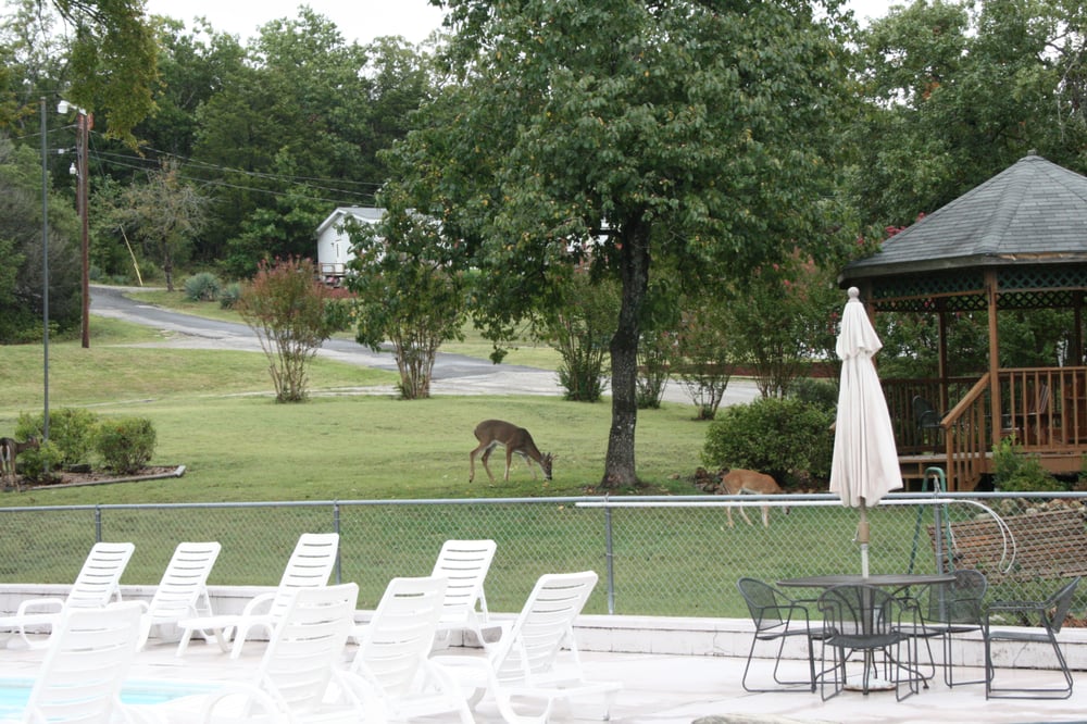 HUMMINGBIRD HIDEAWAY RESORT - Updated June 2026 - 1034 County Rd 989 ...