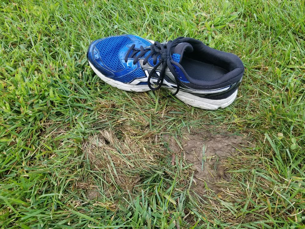 CJ TREE SERVICE - Updated December 2025 - 22 Photos & 24 Reviews - 100 ...