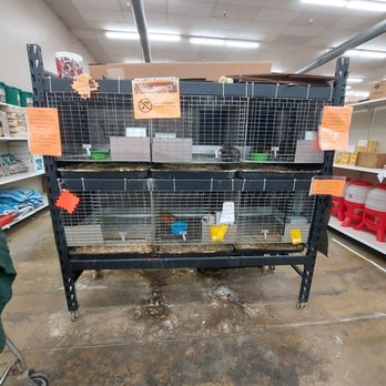 RURAL KING - Updated December 2025 - 12 Photos - 1501 N Wayne St ...