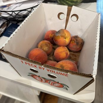 EFURD ORCHARDS - Updated December 2025 - 59 Photos & 37 Reviews - 4004 ...