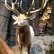 BASS PRO SHOPS - 101 Photos & 74 Reviews - Guns & Ammo - 6112 Grand Ave ...