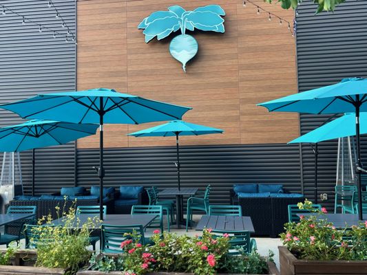 THE TEAL TURNIP - Updated June 2026 - 139 Photos & 72 Reviews - 1640 ...