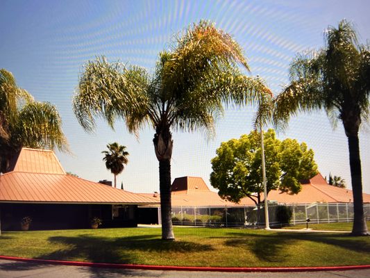 DELTA HAWAII - Updated January 2026 - 16 Photos - 875 Stoneman Ave ...