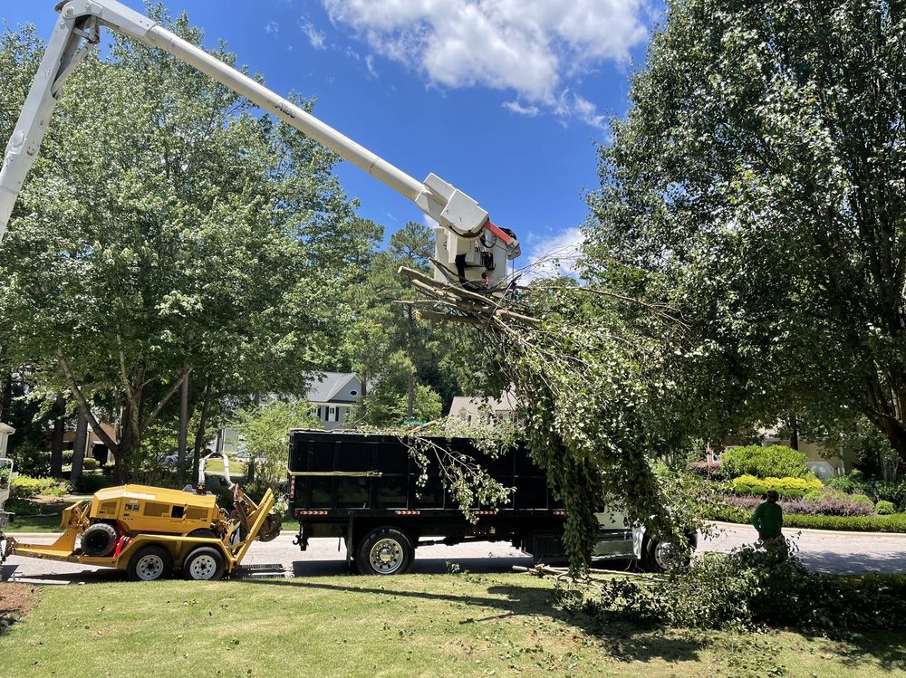 MONKEY TREE SERVICE - Updated December 2025 - 45 Photos & 21 Reviews ...