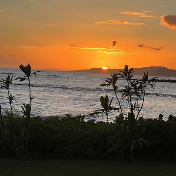 HONU BAR - Updated December 2024 - 99 Photos & 107 Reviews - 2249 Poipu ...