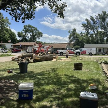 RED OAK TREE SERVICE - Updated January 2026 - 27 Photos & 22 Reviews ...