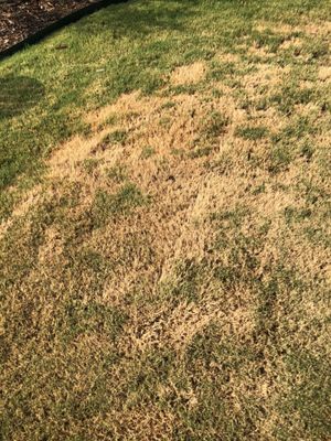 ANDY’S SPRINKLER, DRAINAGE & LIGHTING - Updated October 2025 - 31 ...