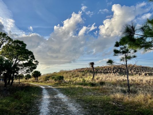 COCKROACH BAY NATURE PRESERVE - Updated December 2025 - 42 Photos ...