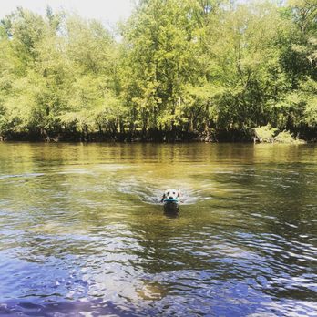 COLLETON STATE PARK OFFICE - Updated September 2024 - 19 Photos - 147 ...