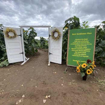 SCHILTER FAMILY FARM - Updated November 2024 - 151 Photos & 114 Reviews ...