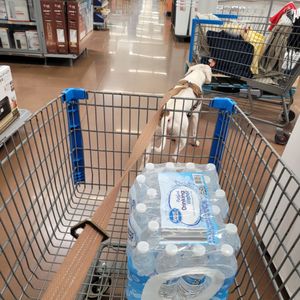 WALMART SUPERCENTER - Updated August 2024 - 117 Photos & 131 Reviews ...