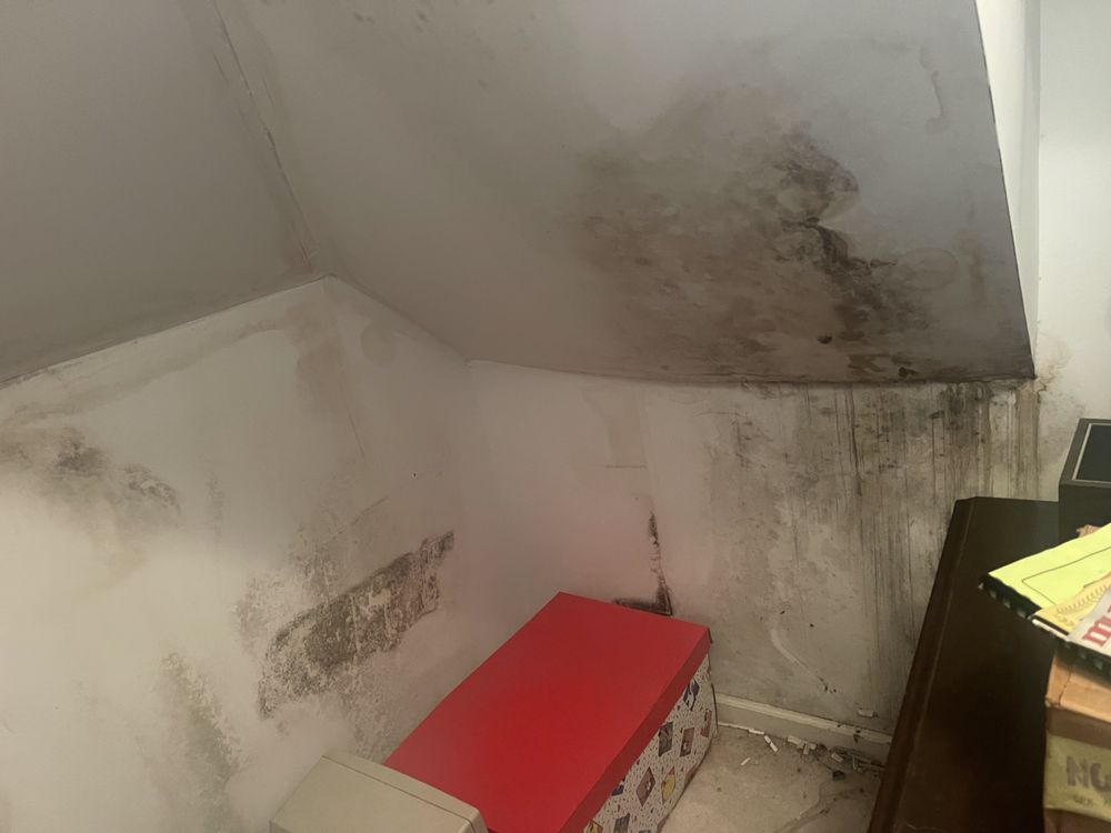 ALVAREZ PAINTING - Updated April 2025 - Pinson , Alabama - Painters ...