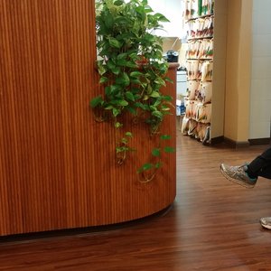 BILL T CAVALLI, DDS - 101 Reviews - 2522 Dana St, Berkeley, CA - Yelp