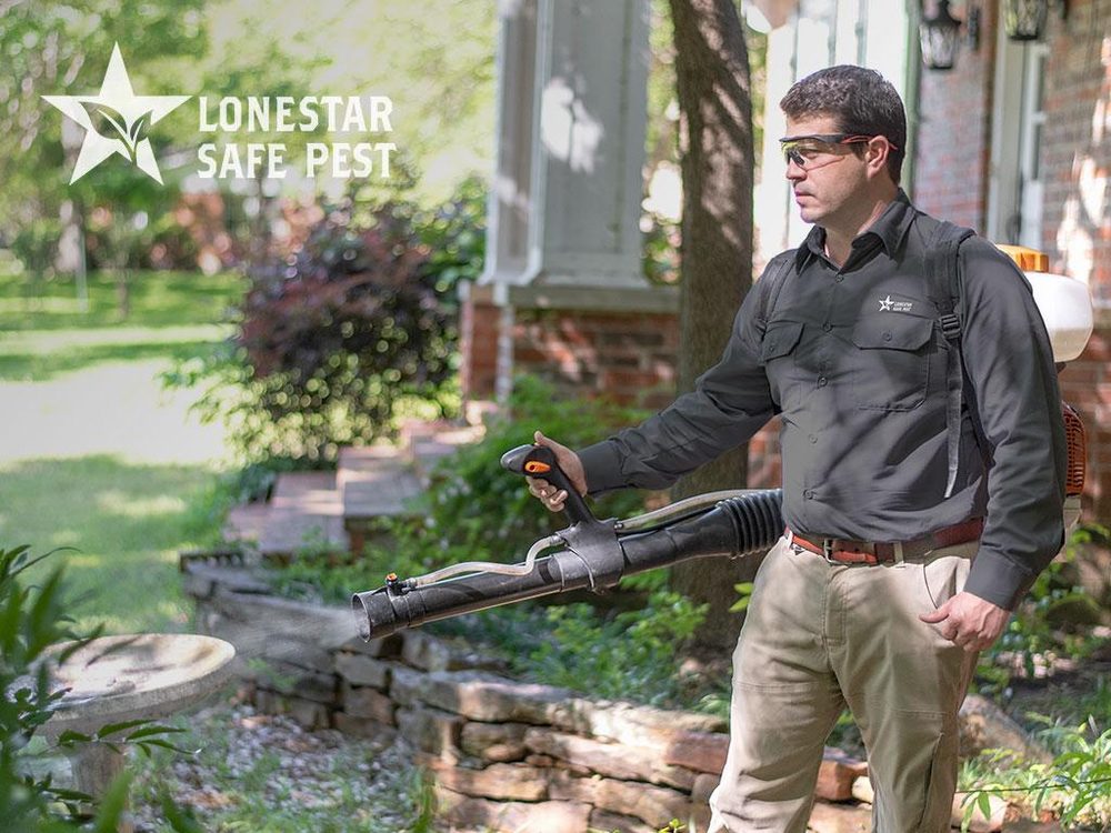 LONESTAR SAFE PEST - Updated October 2025 - 13 Photos & 33 Reviews ...