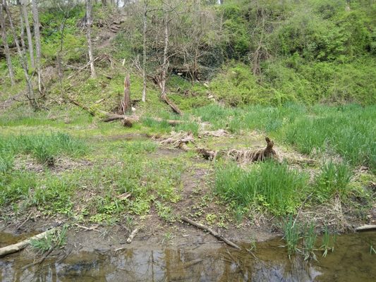 PINE QUARRY PARK - Updated September 2025 - 11 Photos - 8000 Kingsley Dr, Reynoldsburg, Ohio ...