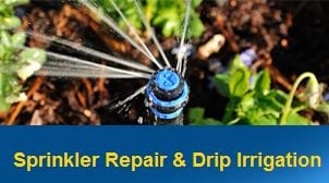 ANDY’S SPRINKLER, DRAINAGE & LIGHTING - Updated September 2025 - 29 ...
