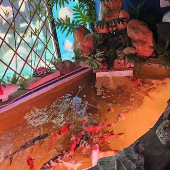 MARKHAM AQUARIUM 2 U - Updated December 2025 - 40 Photos & 10 Reviews ...