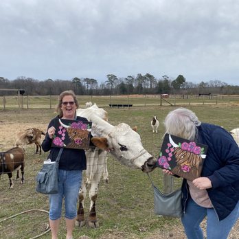 PARSONS FARMS PRODUCE - Updated October 2025 - 110 Photos & 42 Reviews ...