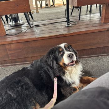 THE COTTAGE - Updated April 2025 - 902 Photos & 717 Reviews - 10029 NE ...