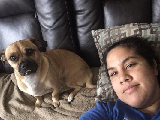 SUNSET ANIMAL HOSPITAL - Updated October 2024 - 131 Photos & 396 ...