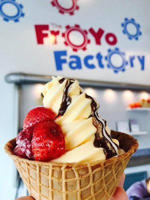 THE FROYO FACTORY - Updated October 2025 - 24 Photos & 11 Reviews ...