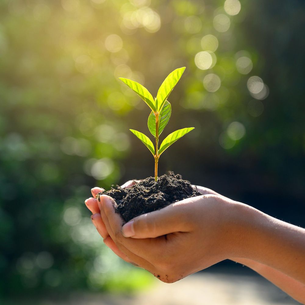 THRIVE NATURALLY 2024 - Updated December 2024 - 15 Photos - Thunder Bay, Ontario - Personal ...