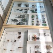 INSECTROPOLIS - 39 Photos & 18 Reviews - Children's Museums - 1761 Rte ...
