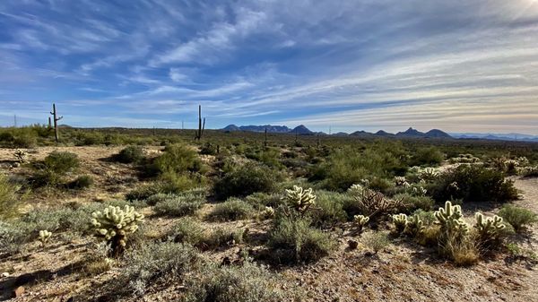 BROWN’S RANCH TRAILHEAD - 224 Photos & 35 Reviews - 30301 N Alma School ...