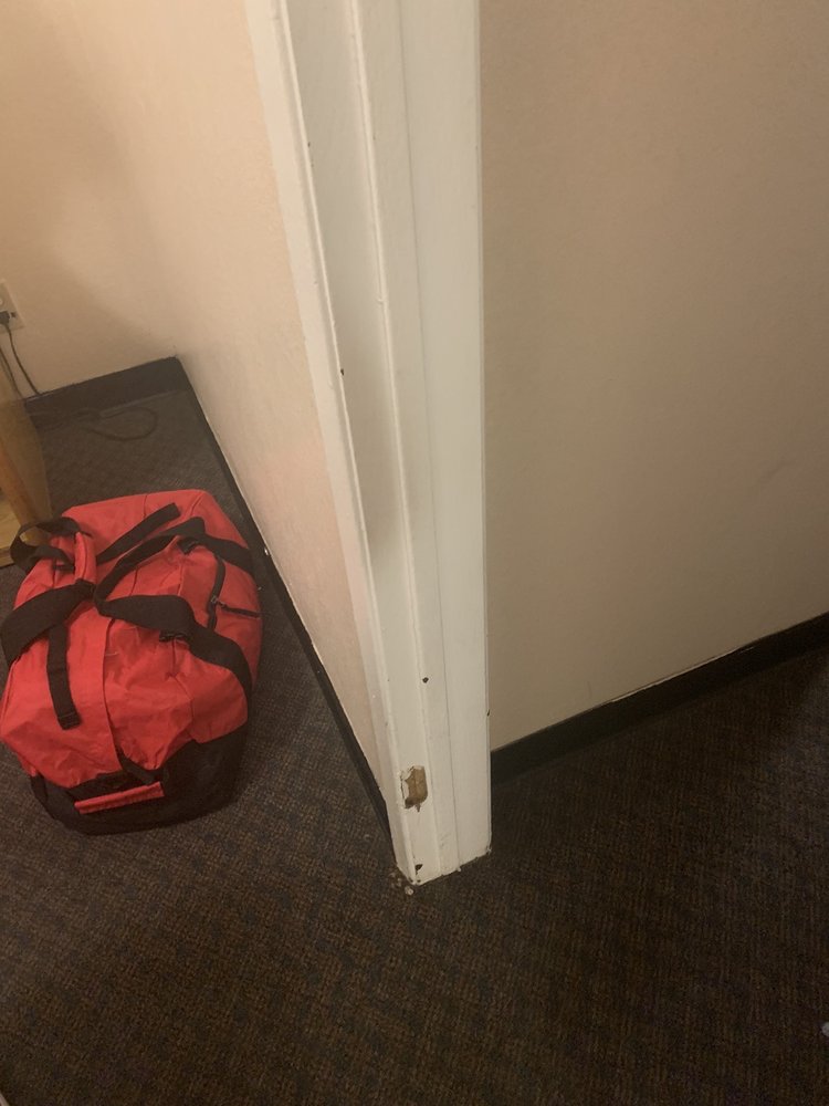 APPLE TREE INN - Updated July 2024 - 20 Photos & 38 Reviews - 9508 N ...