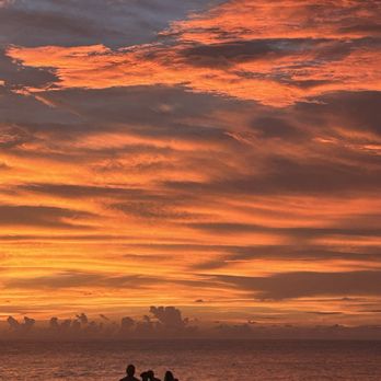 THE TURTLE CLUB - Updated July 2024 - 944 Photos & 772 Reviews - 9225 ...