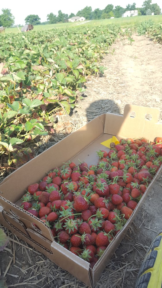 HILGER’S FARM MARKET - Updated December 2025 - 13210 US Highway 30 W ...