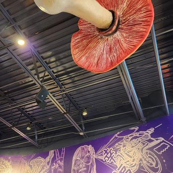 MELLOW MUSHROOM HICKORY - Updated January 2026 - 140 Photos & 172 ...