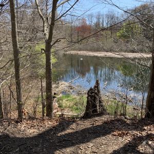 ROBERT J HENKE NATURE PRESERVE PASSIVE PARK - 15 Photos - 100 Pond Path ...