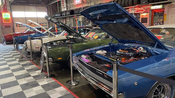 WELLBORN MUSCLE CAR MUSEUM - Updated October 2025 - 48 Photos & 13 ...
