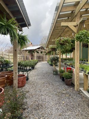 THE PLANT BARN BATON ROUGE - Updated December 2025 - 2912 Valley St ...