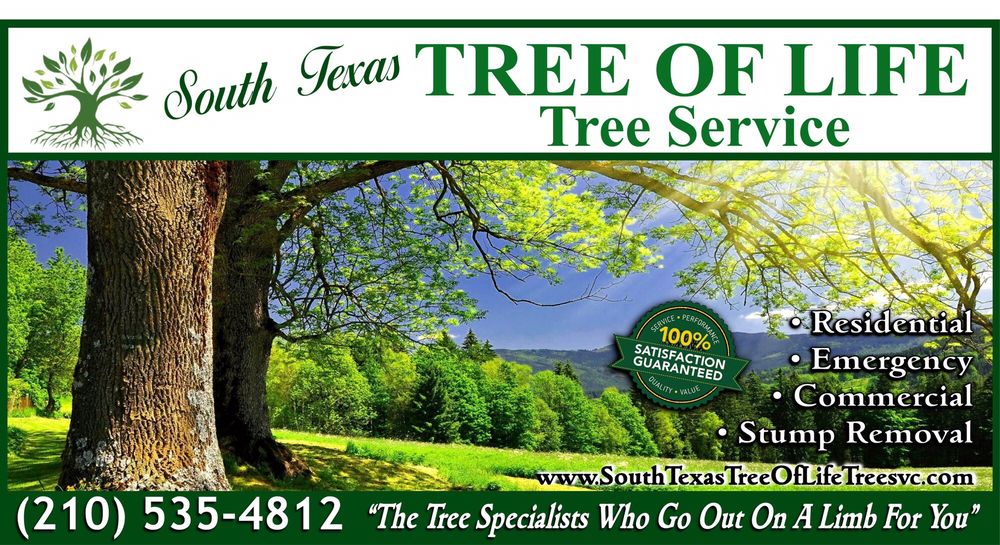 SOUTH TEXAS TREE OF LIFE TREE SERVICE - 68 Photos - San Antonio, Texas ...
