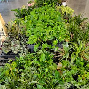 WALMART SUPERCENTER - Updated July 2024 - 141 Photos & 204 Reviews ...