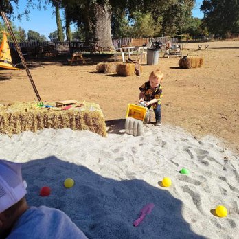 RUSTIC ROOTS FARM STAND - Updated December 2025 - 12 Photos - 8430 ...