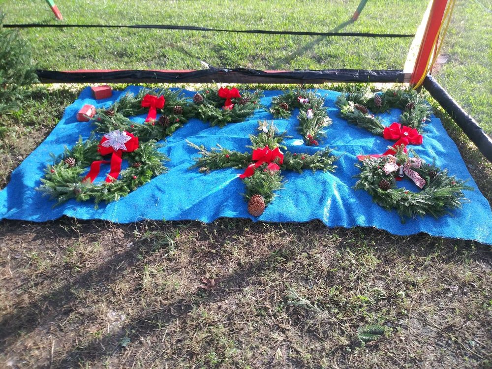 BLUE RIDGE TREE FARM - Updated May 2024 - 4650 SW 30th Ave, Fort ...