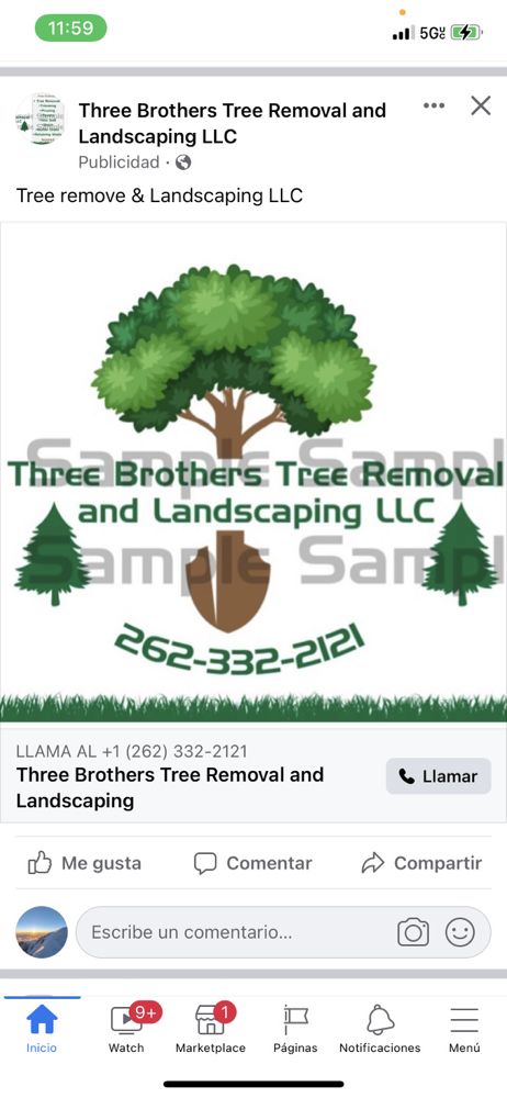 THREE BROTHERS TREE REMOVAL AND LANDSCAPING - Tree Services ...