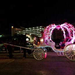 Top 10 Best Horse Carriage Ride in San Antonio, TX - Last Updated ...