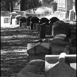 SANTA ROSA RURAL CEMETERY - 58 Photos & 15 Reviews - 1600 Franklin Ave ...