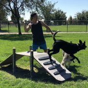 MORSE DOG PARK - 197 Photos & 42 Reviews - Dog Parks - 5540 Bellaterra ...