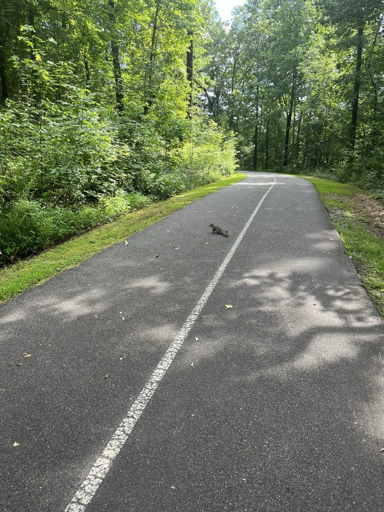 FOWLER PARK - Updated May 2025 - 47 Photos & 28 Reviews - 4110 Carolene ...