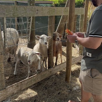 TINEZ FARMS - Updated June 2025 - 337 Photos & 62 Reviews - 16405 SW ...