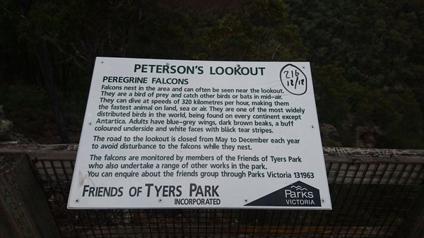 PETERSON’S LOOKOUT - Updated June 2025 - Walhalla Rd, Tyers Victoria ...