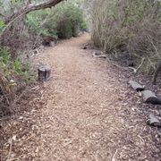 SHIPLEY NATURE CENTER - 274 Photos & 41 Reviews - Parks - 17851 ...