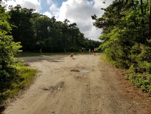 SHAWME-CROWELL STATE FOREST - Updated July 2024 - 31 Photos & 24 ...