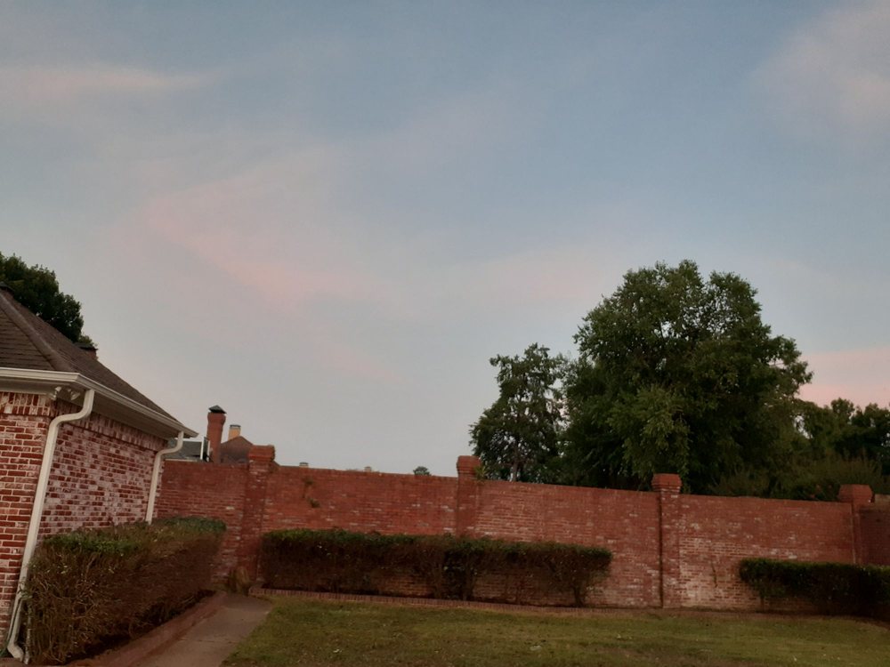 ITURBIDE’S LANDSCAPING - Updated March 2025 - 12 Photos - Tyler, Texas ...