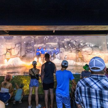 PITTSBURGH ZOO & AQUARIUM - Updated July 2025 - 1561 Photos & 381 ...